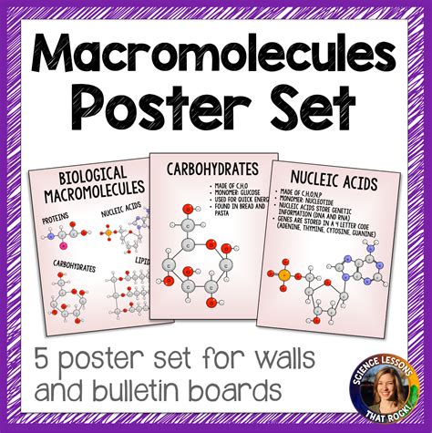 Macromolecules Poster Pack Store Science Lessons That Rock