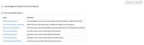 Monitoring And Auditing Oracle Key Vault