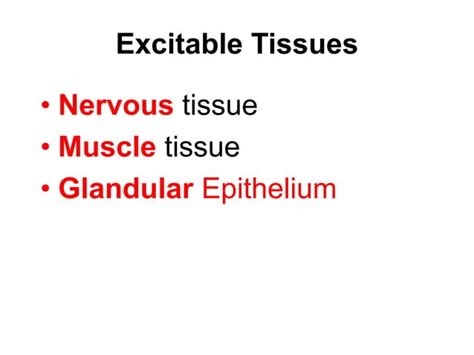 Excitable Tissue Physiology Pptx