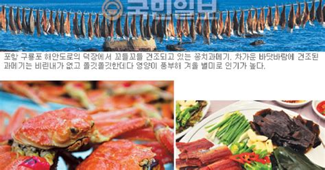매서운 바닷바람이 주는 맛의 선물 제철 맞은 포항 과메기·영덕 대게