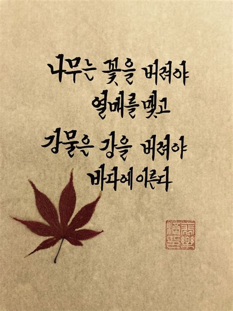 나무는 꽃을 버려야 열매를 맺고 강물은 강을 버려야 바다에 이른다 2023 인생에 관한 명언 삶의 교훈 인용구 정신적