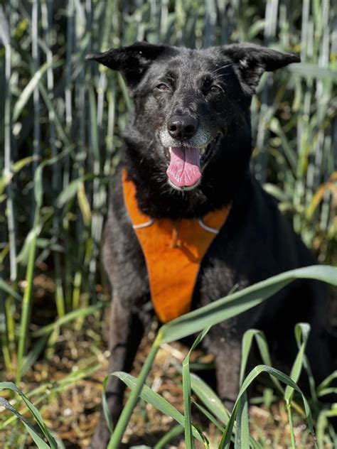 Innovation And Entrepreneurship Wisdom That Still Rocks