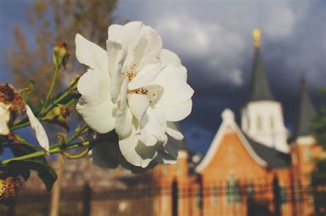 Provo City Center Lds Temple