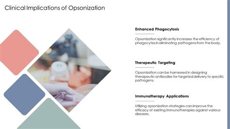 Understanding Opsonization The Key Process In Immune Response And