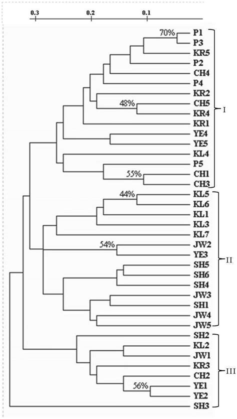 Genetic Similarity Dendrogram Based On Issr Band Pattern Nei And Lis Download Scientific