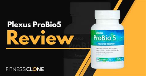 Sports Research Review A Look At This Company