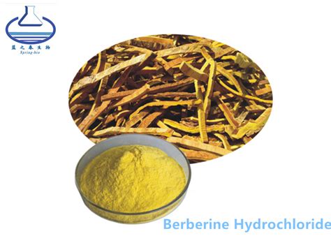 Berberine Hydrochloride Phellodendron Amurense Extract Yellow Powder