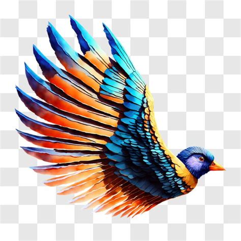 Download Kleurrijke Vogel In Vlucht Png Online Op Creative Fabrica