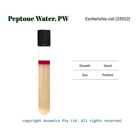 Peptone Water Ausamics