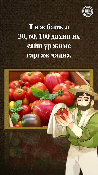 Үр жимс их гаргах нууц бий Shorts Youtube