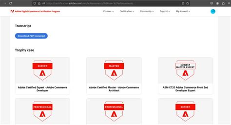 Amit Vishwakarma On Linkedin Adobecertified Adobecommerce Ecommerceexpert