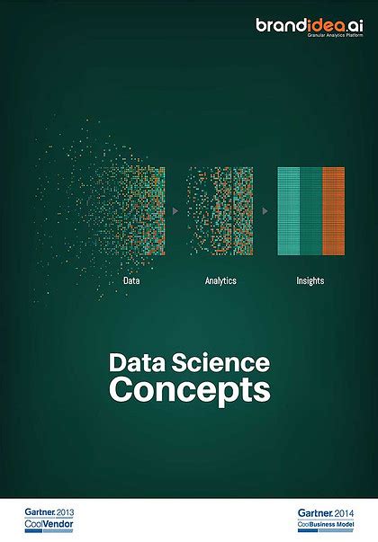 Data Science Concepts Brandidea Granular Analytics Platform