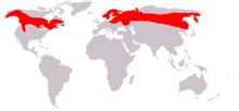 Altze - Wikipedia, entziklopedia askea.