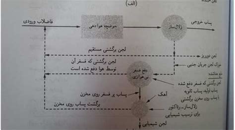 حذف بیولوژیکی فسفر زادآب