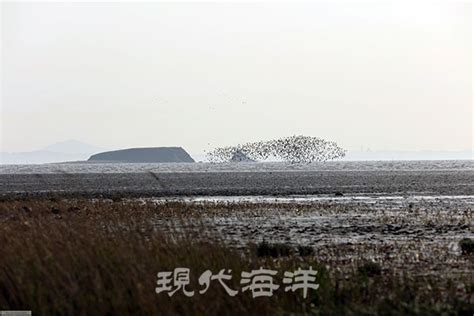 인쇄하기