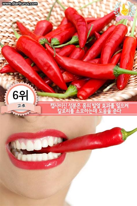 내맘대로 정하는 순위 피하지방 내장지방 등이 해당하는 백색지방 을 태우자 나쁜지방을 없애주는 음식