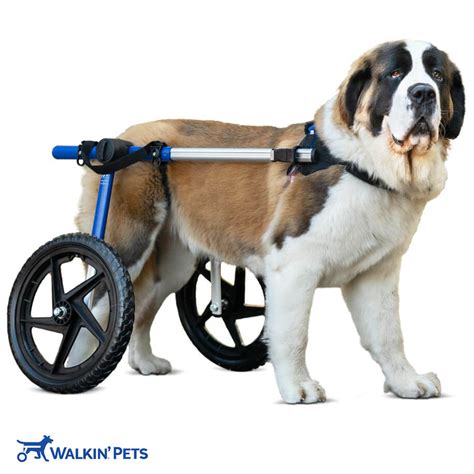 Walkin Wheels Large Dog Wheelchair Ph