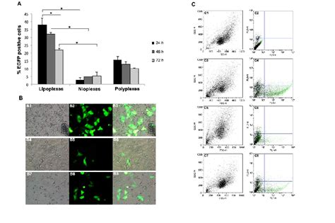 Transfection Efficiency Of The Three Tested Complexes A Bar Graphs