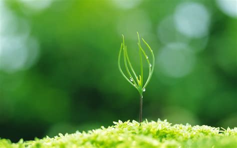 Ayurveda Wallpapers Wallpaper Cave