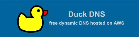 Duck Dns Configurazione Su Linux Linux Htmlit