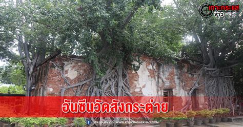 อ่างทอง อันซีนต้นโพธิ์ 4 ต้นขึ้นปกคลุมยึดผนังอุโบสถวัดสังกระต่ายไว้ 4