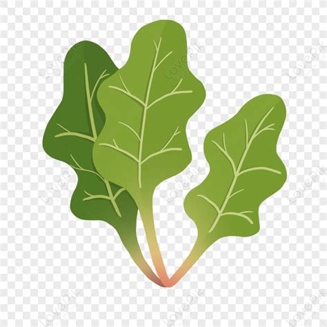 평면 만화 일러스트 녹색 시금치의 여러 조각 클립 아트 나뭇잎녹색 채소본질적인 Png 일러스트 무료 다운로드 Lovepik
