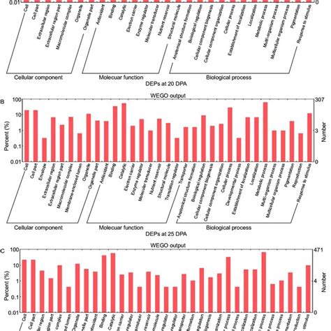 Functional Categorisation Of The Proteins That Were Differentially