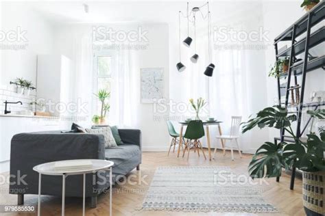 세련 되 고 현대적인 식당 및 거실 소파와 패밀리 테이블 공간을 엽니다 밝고 화창한 식물과 갈색 나무 마루와 방 0명에 대한 스톡 사진 및 기타 이미지 Istock