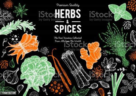 허브와 향신료 손으로 그린 벡터 일러스트레이션 향기로운 식물 손으로 그린 음식 스케치 패키지에 적합합니다 빈티지 일러스트레이션 카드 디자인 스케치 스타일입니다 향신료와 허브