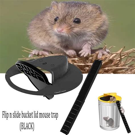 Flip Mouse Trap 02 Flip Cover Mousetrap Reusable Slide Cover Mousetrap