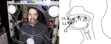 Figure 1 From A Deep Neural Network For Acoustic Articulatory Speech Inversion Semantic Scholar