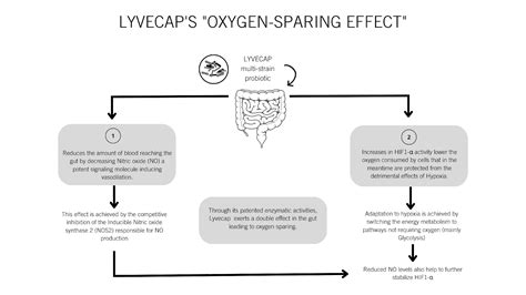 Oxygen Availability And Cognitive Fatigue Insights And Solutions