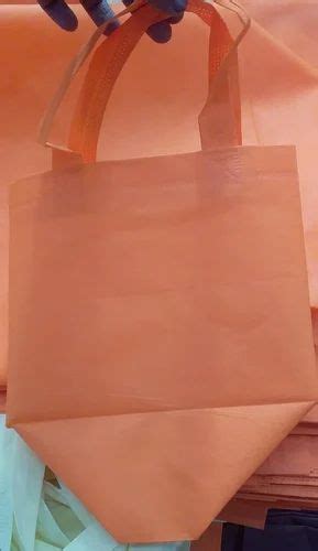 Plain Loop Handle Non Woven Bag Small Size At Best Price In Shahjahanpur