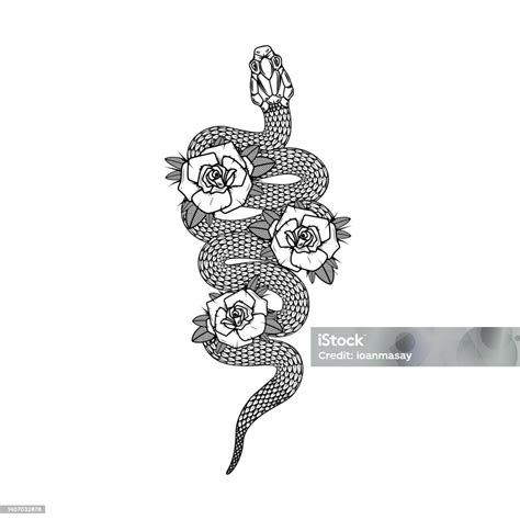 장미와 함께 배경에 뱀 포스터 티셔츠 카드 배너를위한 디자인 요소 벡터 일러스트 레이 션 뱀에 대한 스톡 벡터 아트 및 기타 이미지 Istock