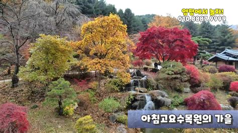 가평 아침고요수목원 가을단풍 가을풍경 고향집정원 하경정원 산수경온실 가평여행 추천가족여행장소 수목원 국화꽃전시장 2022년