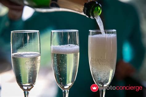 Champagne Poured Into Glasses