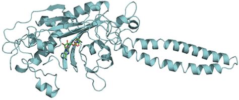 An Orthogonal Seryl Trna Synthetasetrna Pair For Noncanonical Amino Acid Mutagenesis In