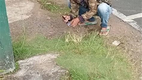 Mancing Diselokan Sempit Tapi Ikannya Besar Besar YouTube