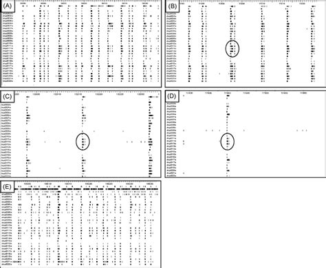 Raster Plot Display Of Spontaneous Spike And Burst Activities Of 31
