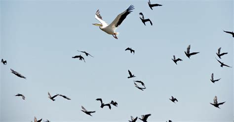 Aws Announces General Availability Of New Application Migration Service