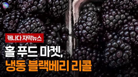 홀 푸드 마켓 냉동 블랙베리 리콜 캐나다 Youtube