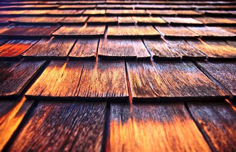 Missing Roof Shingles Heres Why You Need A Repair Farina Roofing