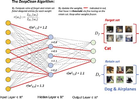 Figure 1 From Deepclean Machine Unlearning On The Cheap By Resetting