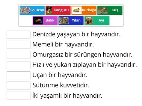 Sınıf Hayvanlar Eşleştir