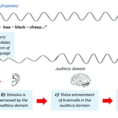 Stylized Representation Of Goswamis 2011 Auditory Temporal