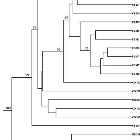 Upgma Dendrogram Of Similarity Index Showing The Genetic Similarities