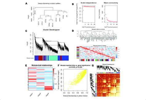 Weighted Gene Coexpression Network Analysis WGCNA Summary A