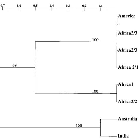 dendrogram constructed from random amplified polymorphic dna data