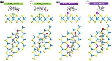 The Relaxed Atomic Structures For Interaction Of Ni Ws 2 With A