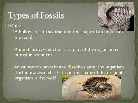ALL ABOUT Notes Fossils Fossils Are Perserved Remains